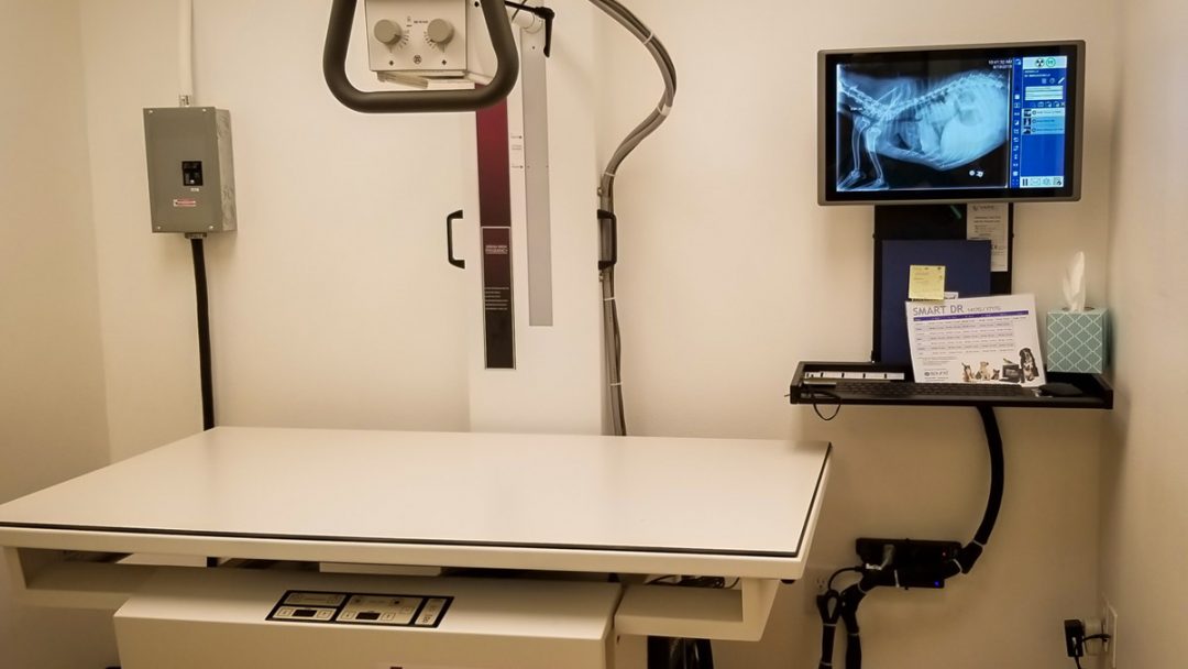 Radiology - Animal Health Veterinary Clinic